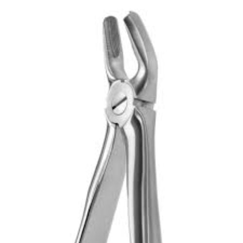 Medesy – Tooth Forceps Blade Beaks N.18 | Adams Med Medical Equipment ...