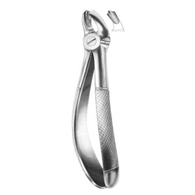 Upper Molar Forceps Right | Adams Med Online